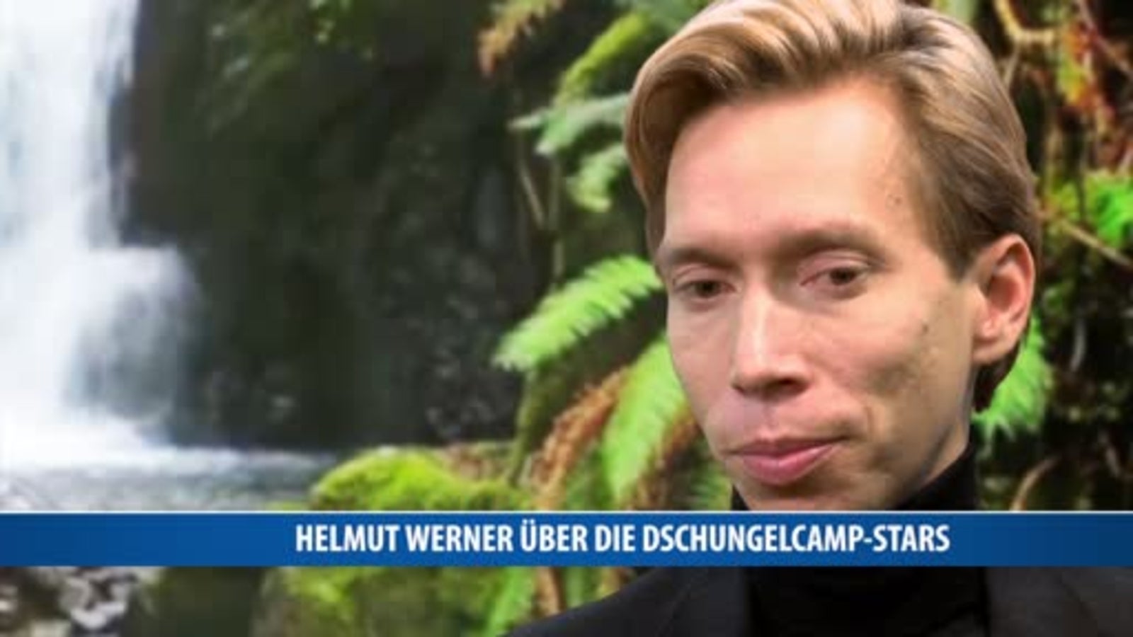 Helmut Werner über die Dschungelcamp-Stars - oe24.tv