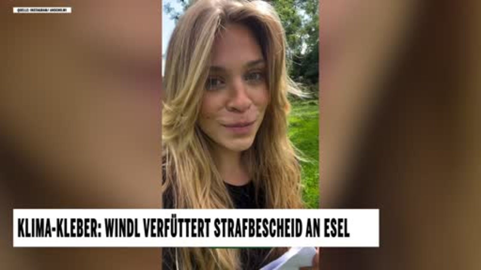Klima-Kleber: Windl verfüttert Strafbescheid an Esel - oe24.tv