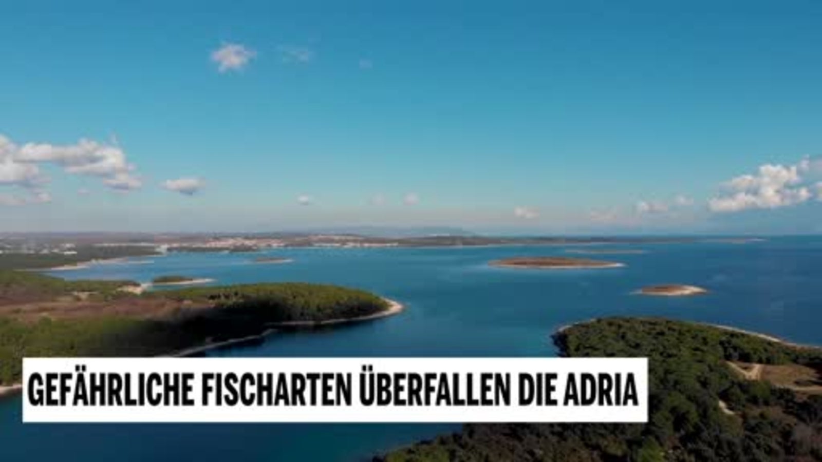 Gefährliche Fischarten überfallen die Adria - oe24.tv