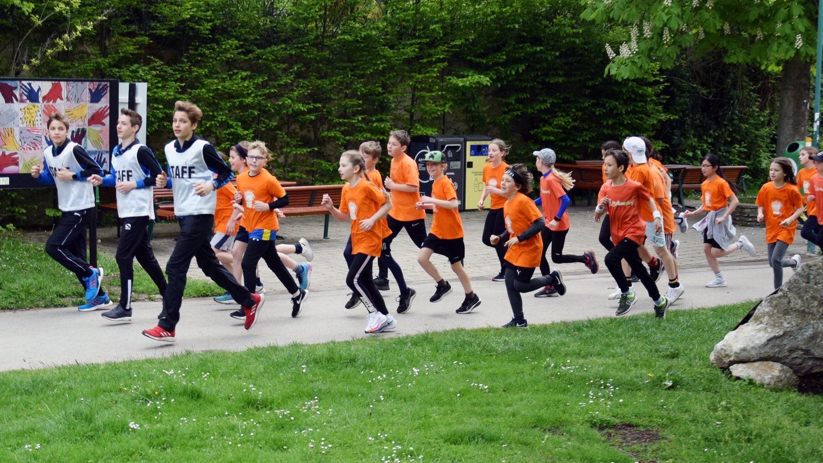 Mödlinger Schüler laufen für den guten Zweck - oe24.at