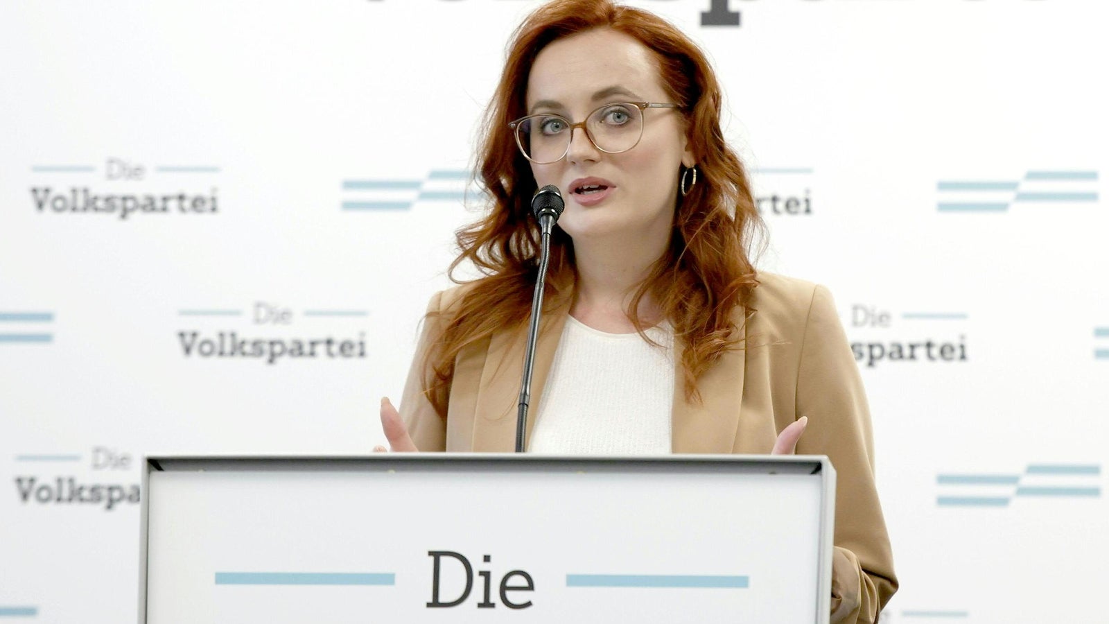 "Schamlos": Sachslehner rechnet in neuem Buch mit Linken-Politik ab - Politik-Live