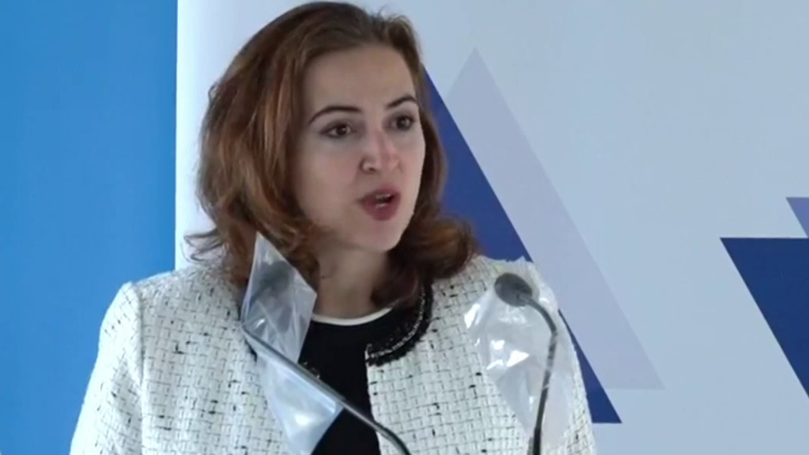 Alma Zadic zu 70 Jahren europäischer Menschenrechtskonvention - oe24.tv