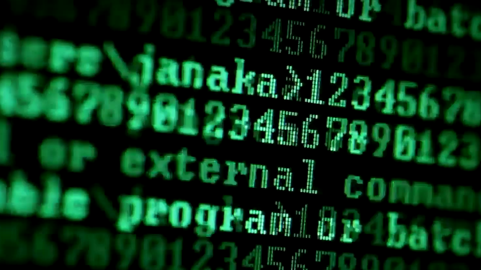 Cyber Trading Fraud mit zwölf Opfern in Niederösterreich - oe24.at