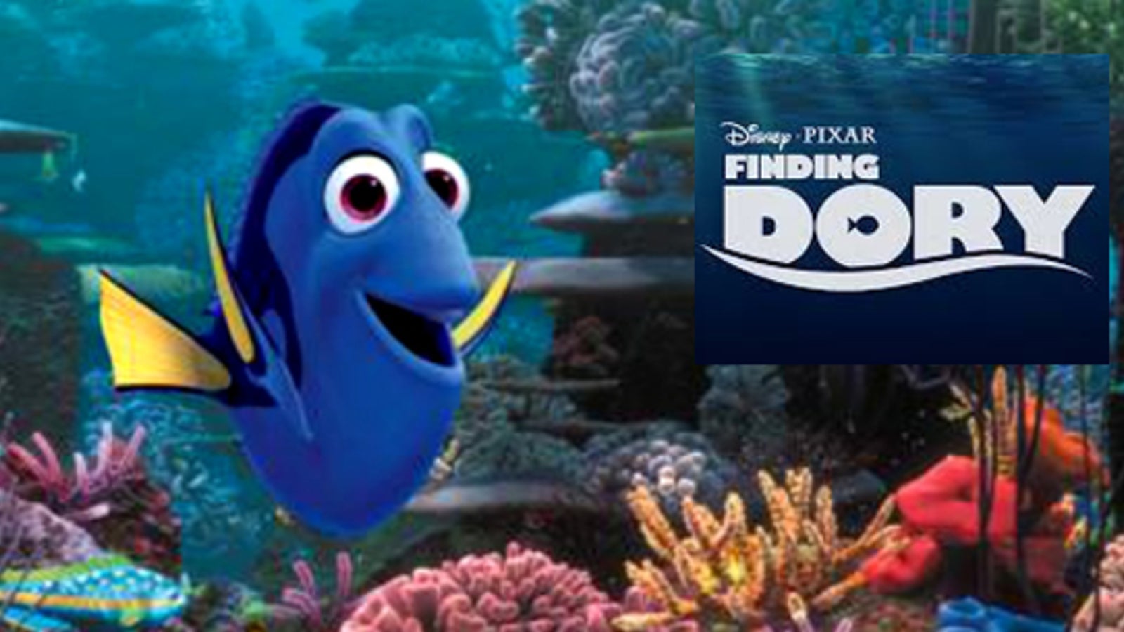 "Findet Dory": So lustig ist neuer Trailer - stars24