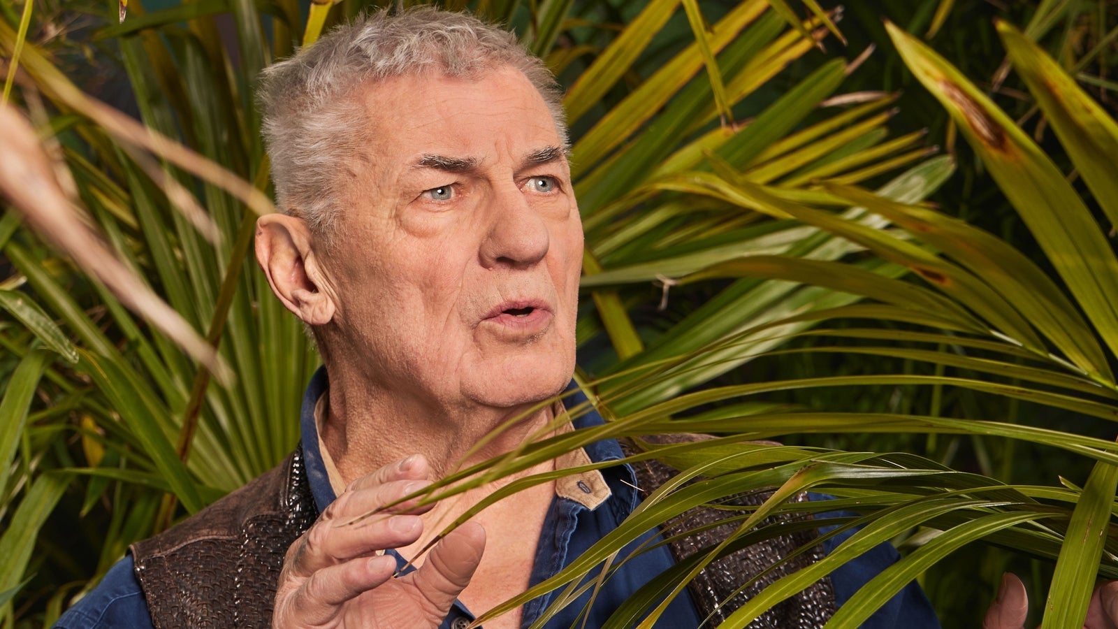 Dschungel-Camp ist diesmal "Pleite-Camp" - stars24