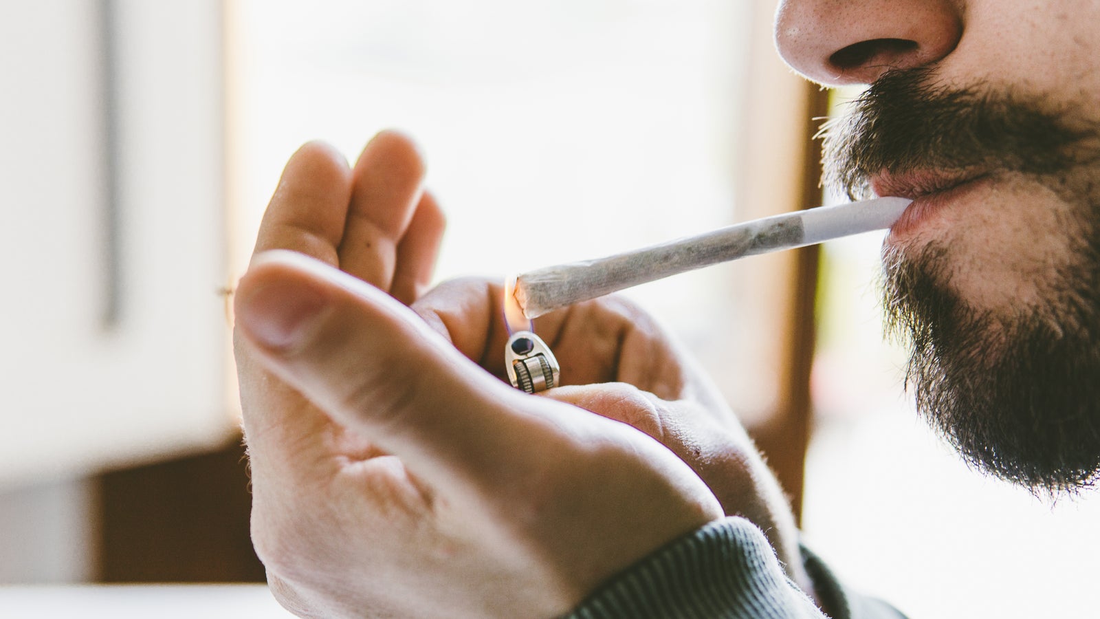 ÖVP kritisiert: "1 Kilo Cannabis verursacht so viel CO2 wie ein PKW in ...