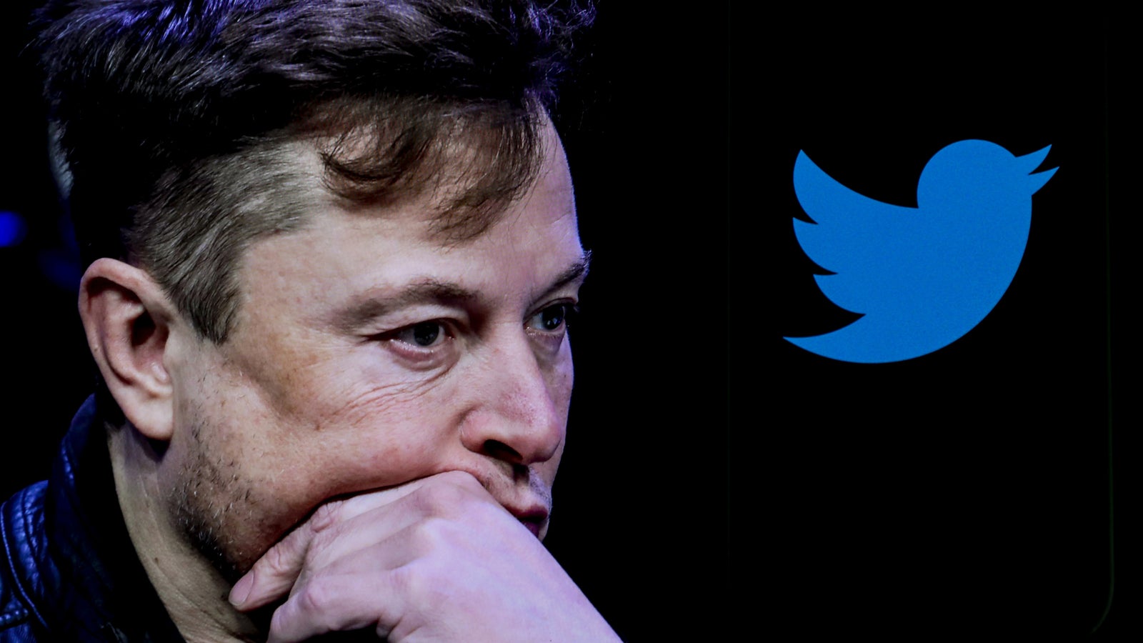 Musk will jetzt das Twitter-Logo ändern - oe24.at