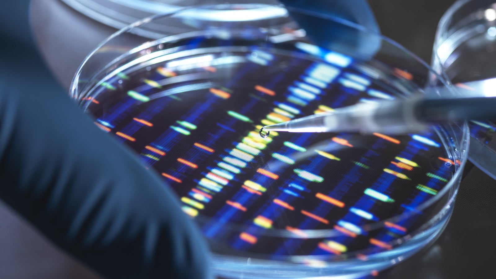 Erste 'Genmanipulierte'-Kinder der Welt leben 'normales' Leben - oe24.at