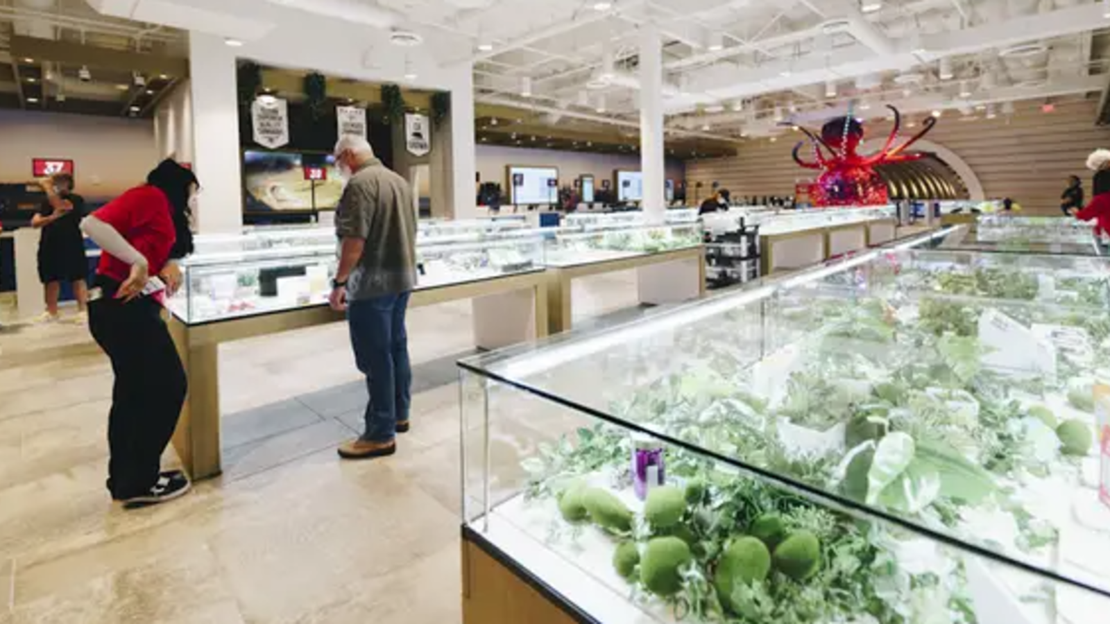 Auf riesiger Fläche: Hier eröffnet größter Hanf-Shop der Welt - oe24.at