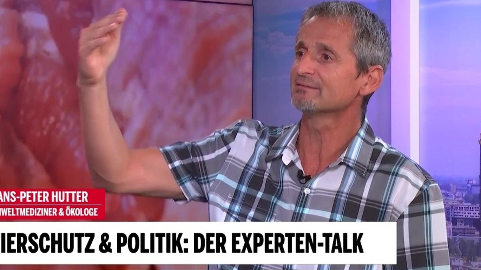 Tierschutz & Politik: Talk mit Hans-Peter Hutter - oe24.at