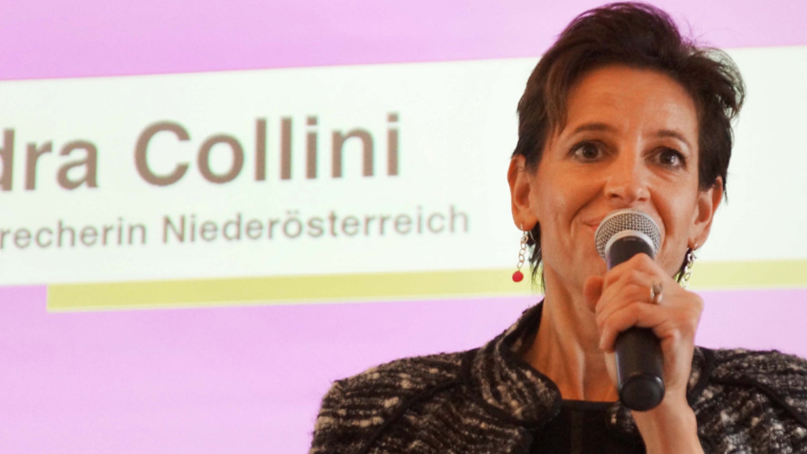 NEOS fordern 'Demokratiereform' für Niederösterreich - Politik-Live