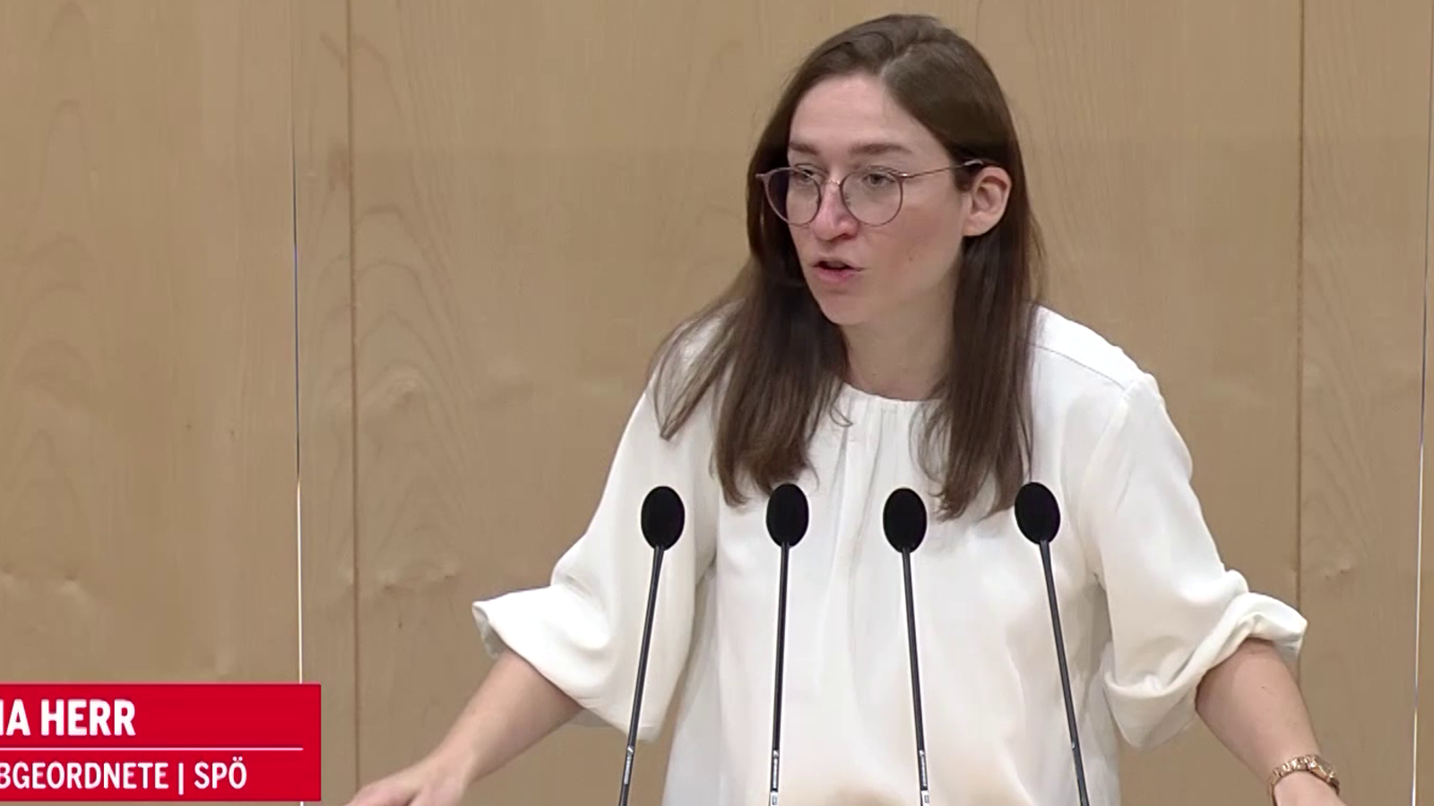 Budget 2022: Statement von Julia Herr - oe24.tv