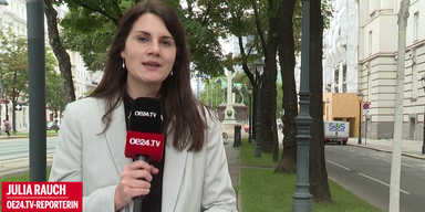 Eintritt nur mit Impfung: Polit-Streit um 1G-Regel ab Herbst - oe24.tv