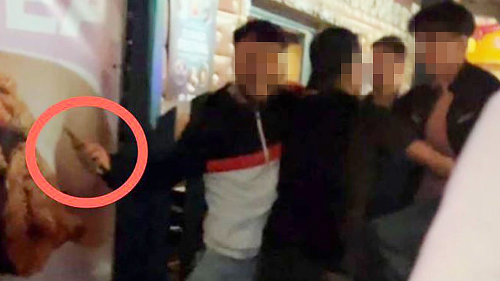 Banden-Krieg: Zwei "505"-Syrer festgenommen - oe24.at