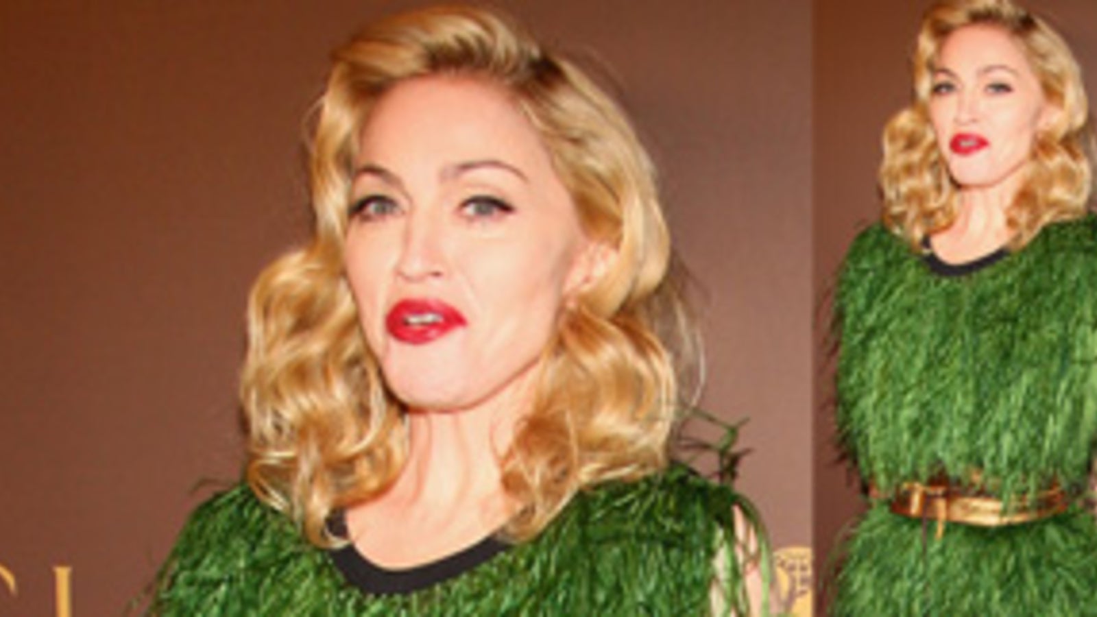 Madonna trug die Wiese zum Unicef-Dinner - stars24