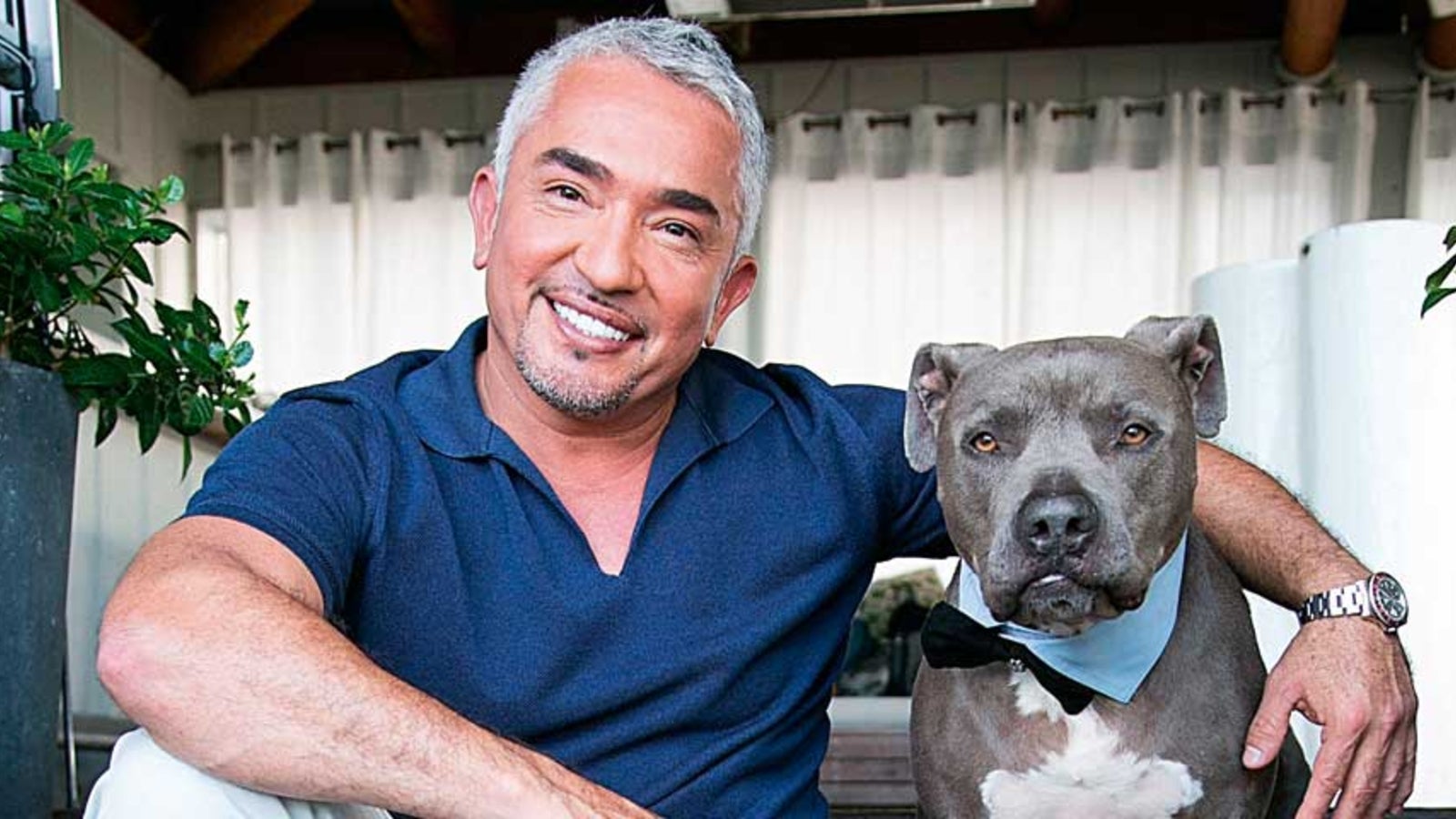Cesar Millan als Ticket-Hit - stars24