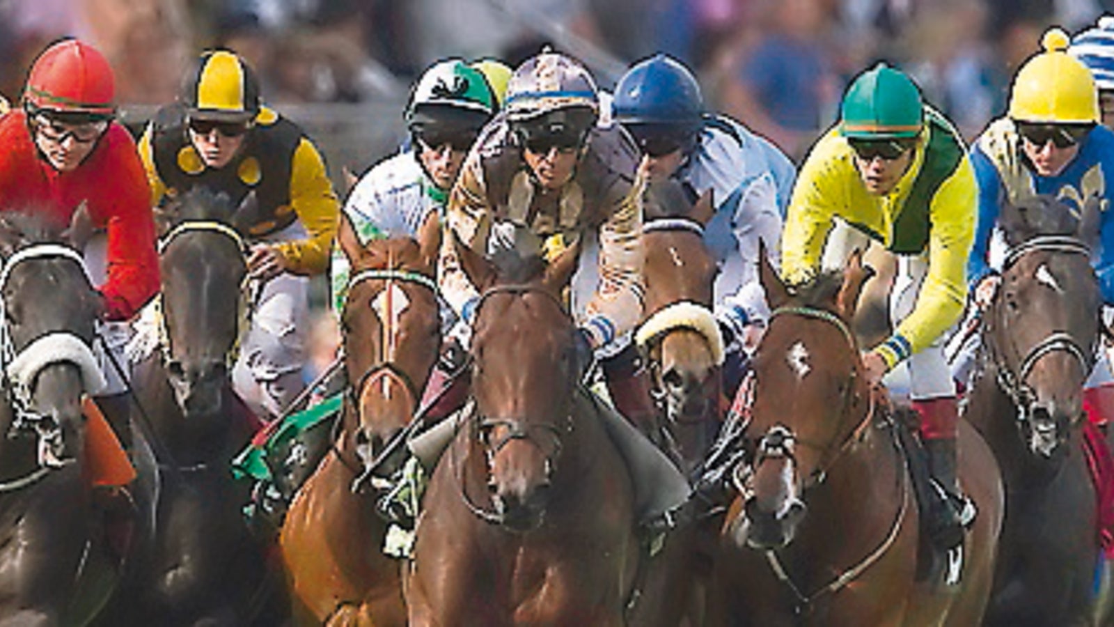 Großer Renntag im Magna Racino - sport24.at