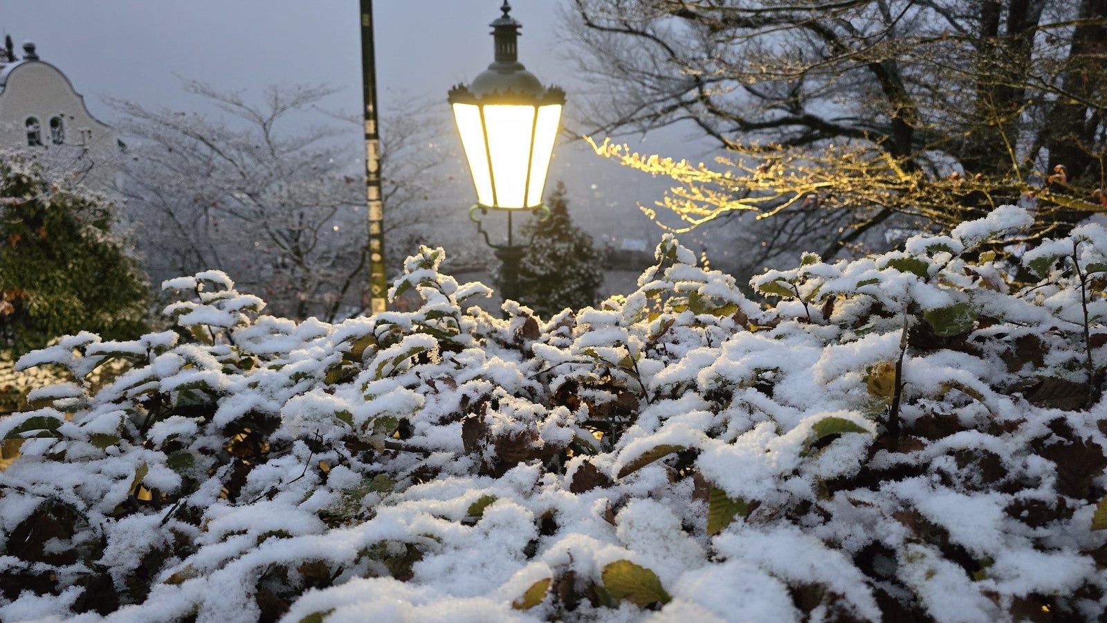Winter-Start: Erster Schnee in Linz gefallen - oe24.at