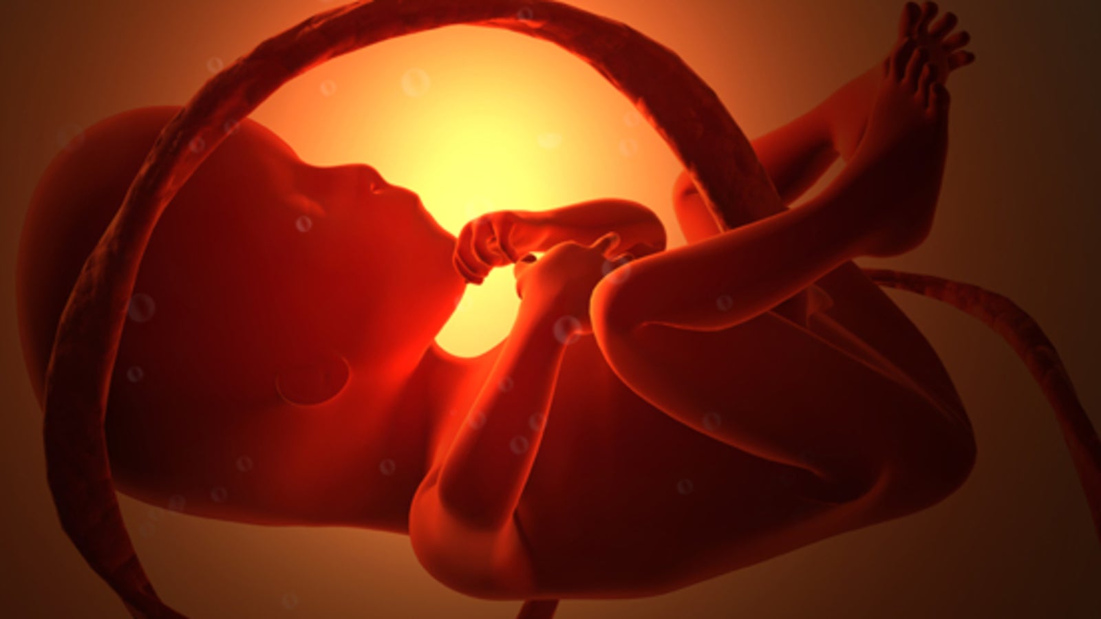 So entwickelt sich ein Baby im Bauch der Mutter - gesund24.at