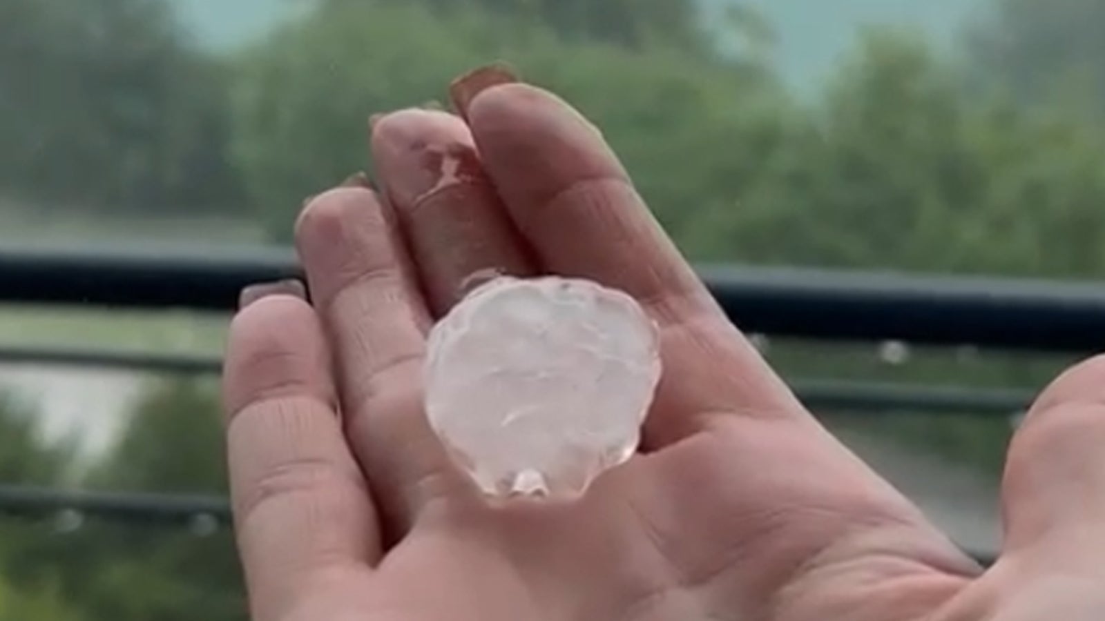 Verleger-Ehepaar Ekaterina & Christian W. Mucha erleben Unwetter - oe24.tv