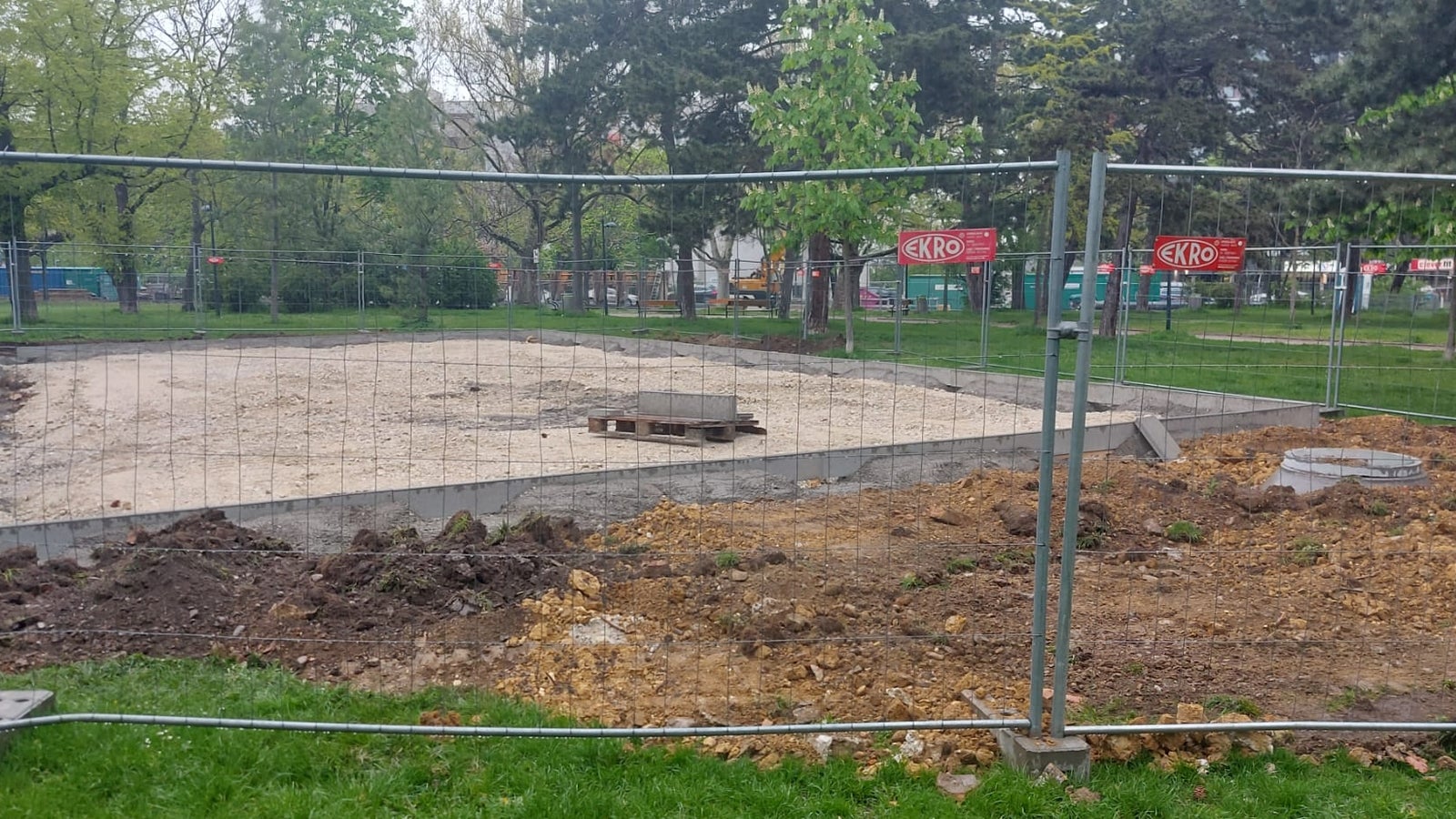 Lesereporterin Alena G. traute Ihren Augen nicht, als sie am Mittwoch mit ihren Hunden spazieren ...