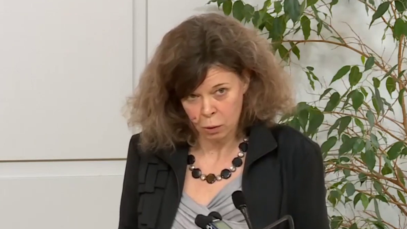 Verein Zara: Rassismus-Report 2021 - oe24.tv