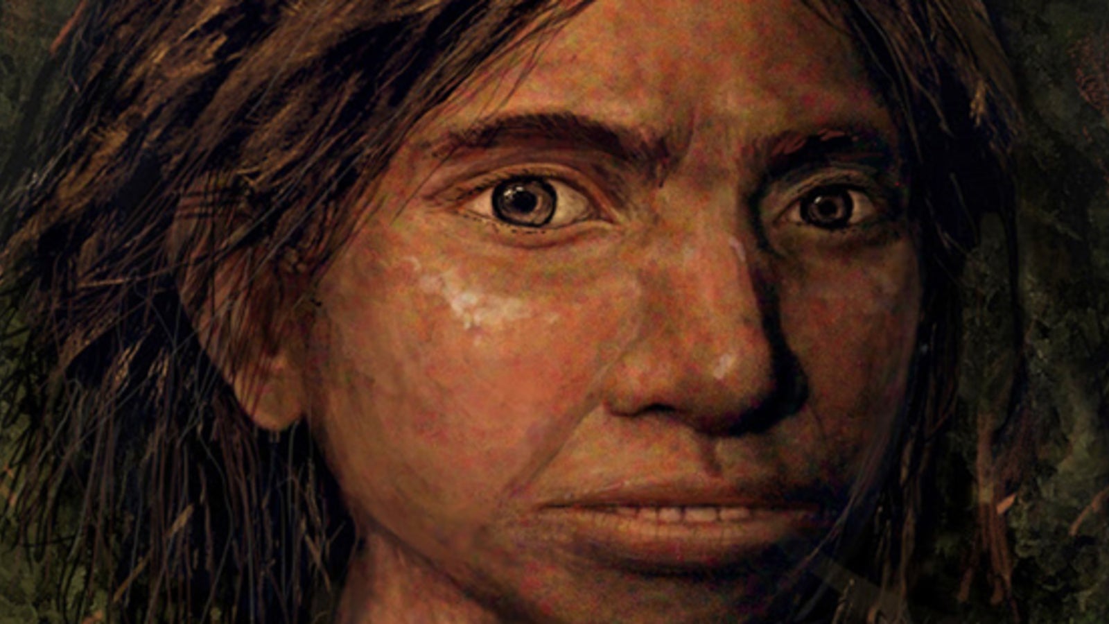 So sah der Sibirien-Urmensch aus - oe24.at