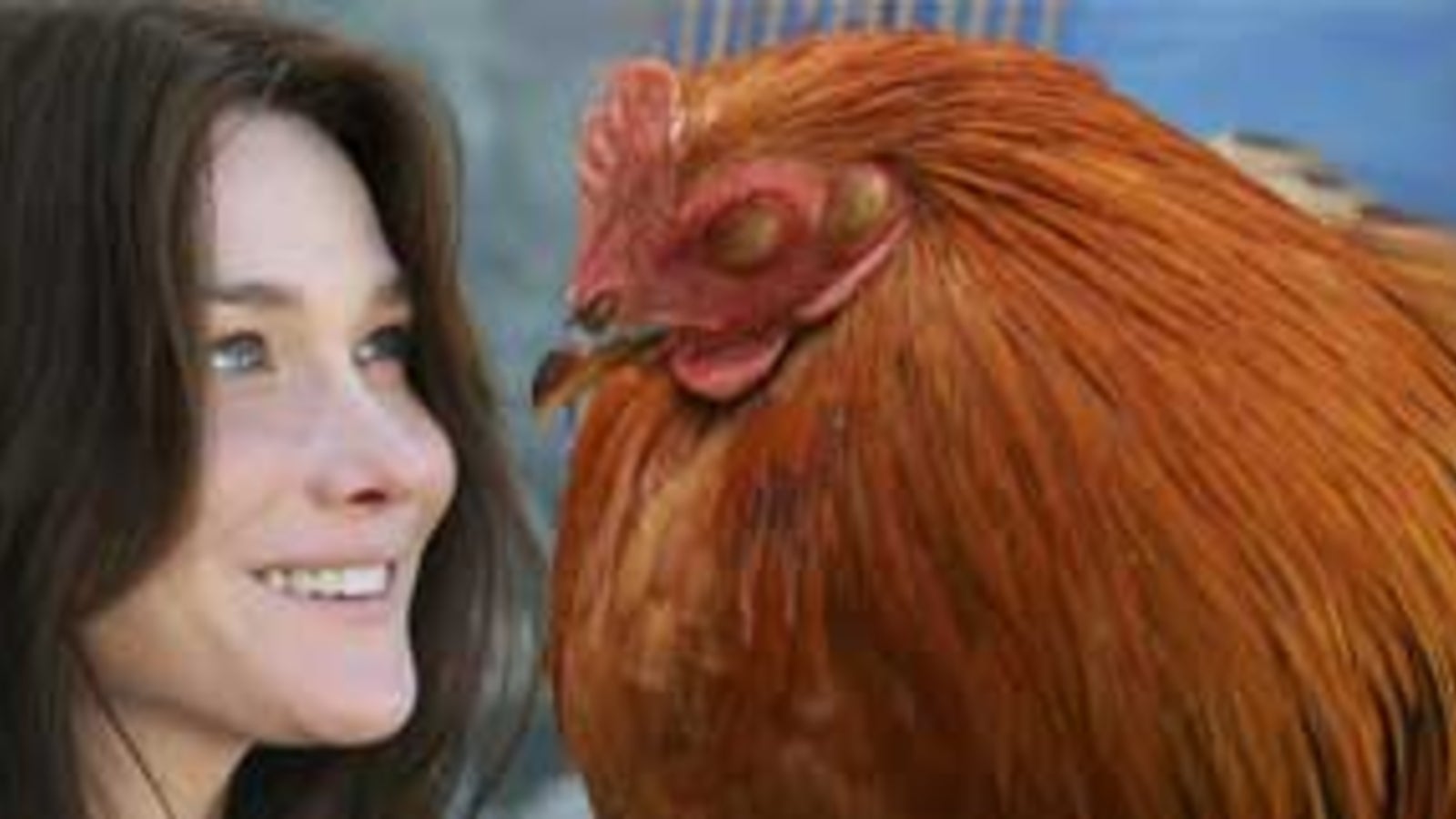 Frankreichs Premier freut sich über Huhn "Carla" - oe24.at