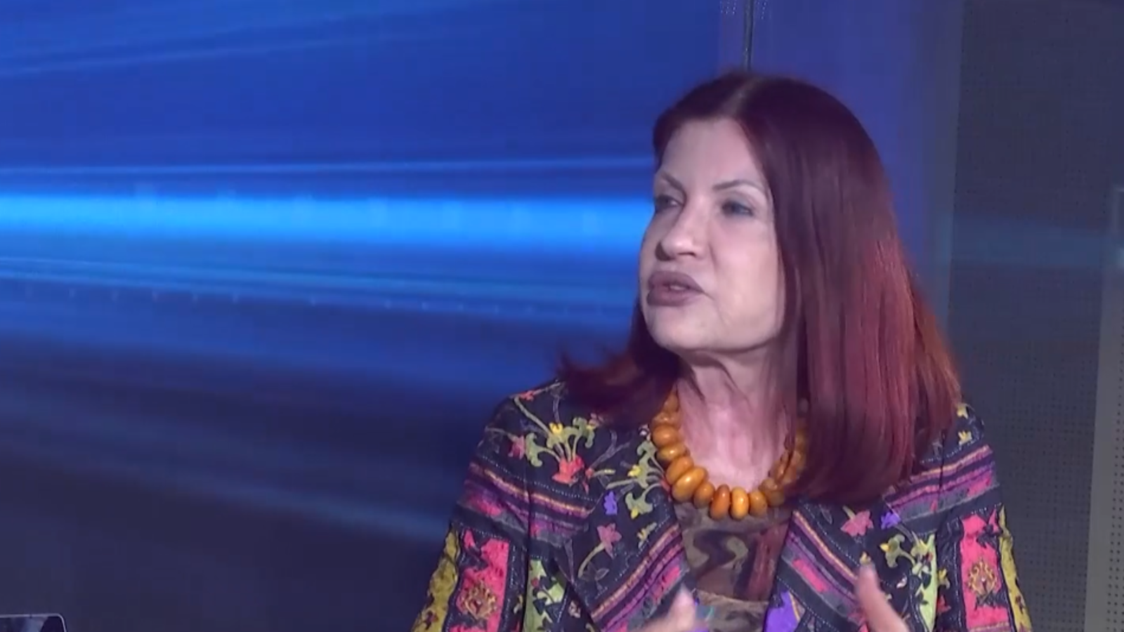 Sigrun Rossmanith im Interview - oe24.tv