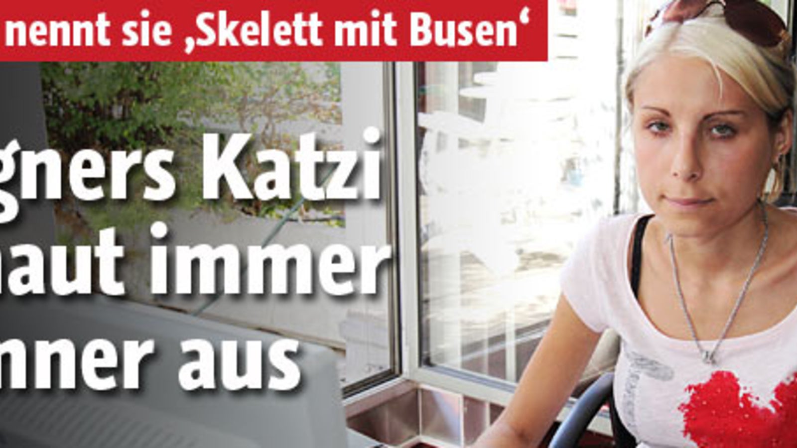 Wie schlecht geht es dem Lugner-Katzi? - stars24