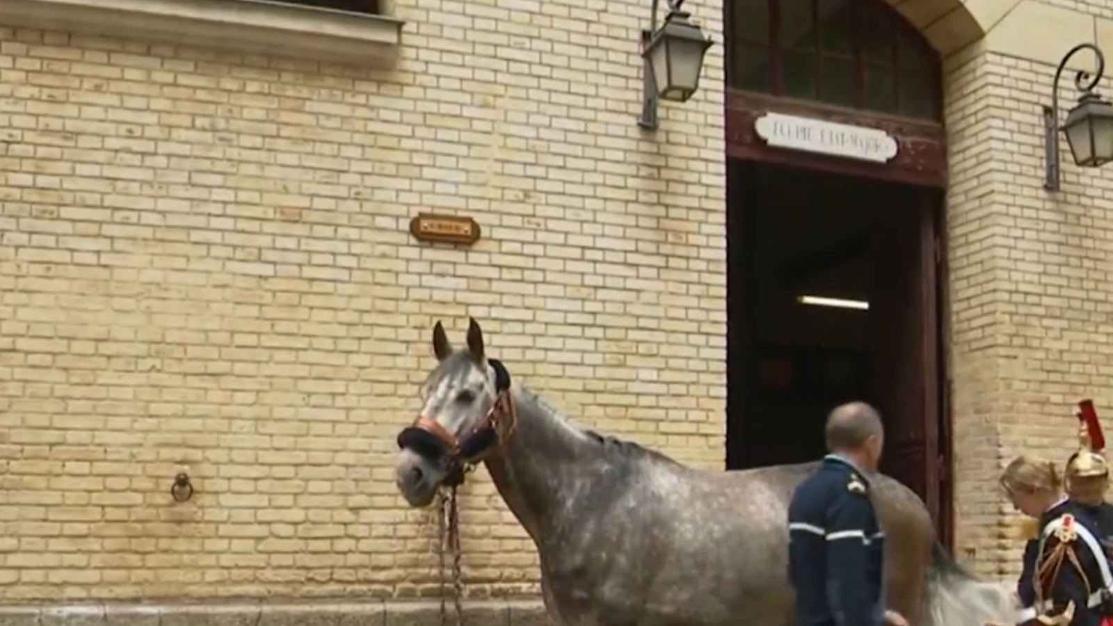 Macron schenkt Queen Edel-Hengst zum Jubiläum - oe24.tv