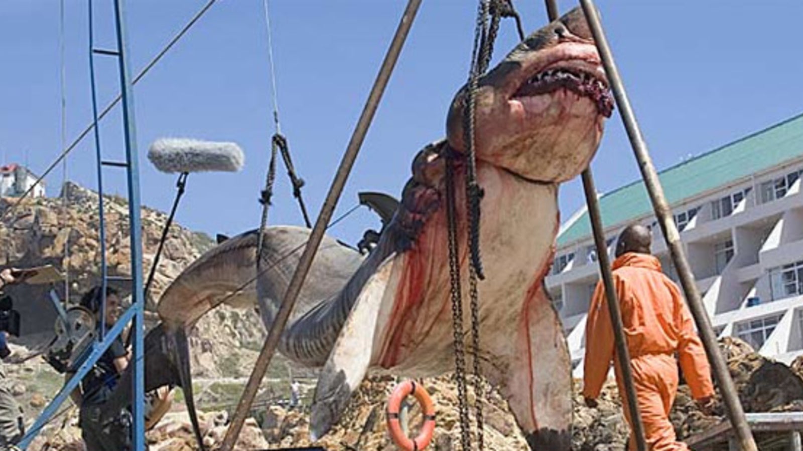 Hype um falschen Monster-Hai - oe24.at