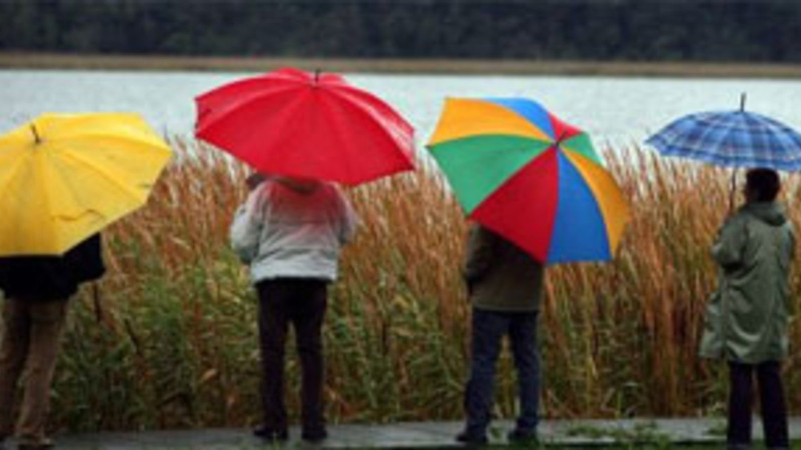 Verlängertes Wochenende wird regnerisch - oe24.at