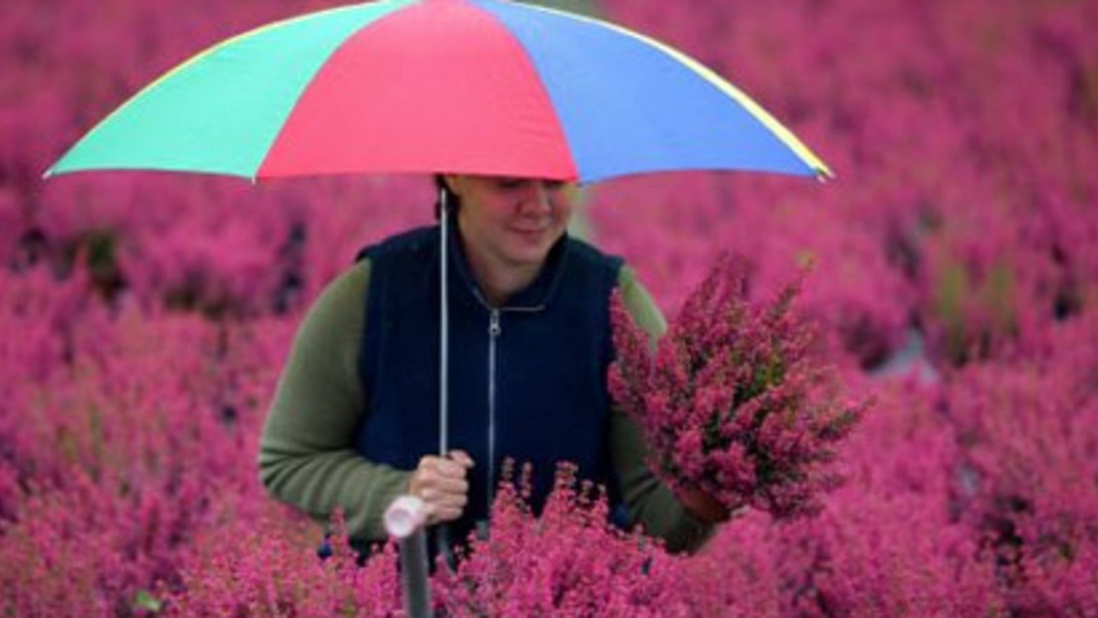 Nach Sonnenschein kommt nun der Regen - oe24.at