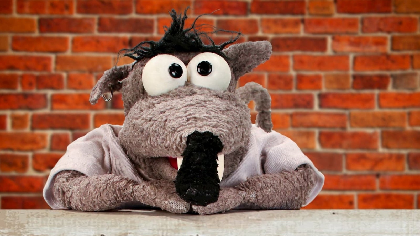 Rolf Rüdiger: "Zumpferl oder kein Zumpferl?" - stars24