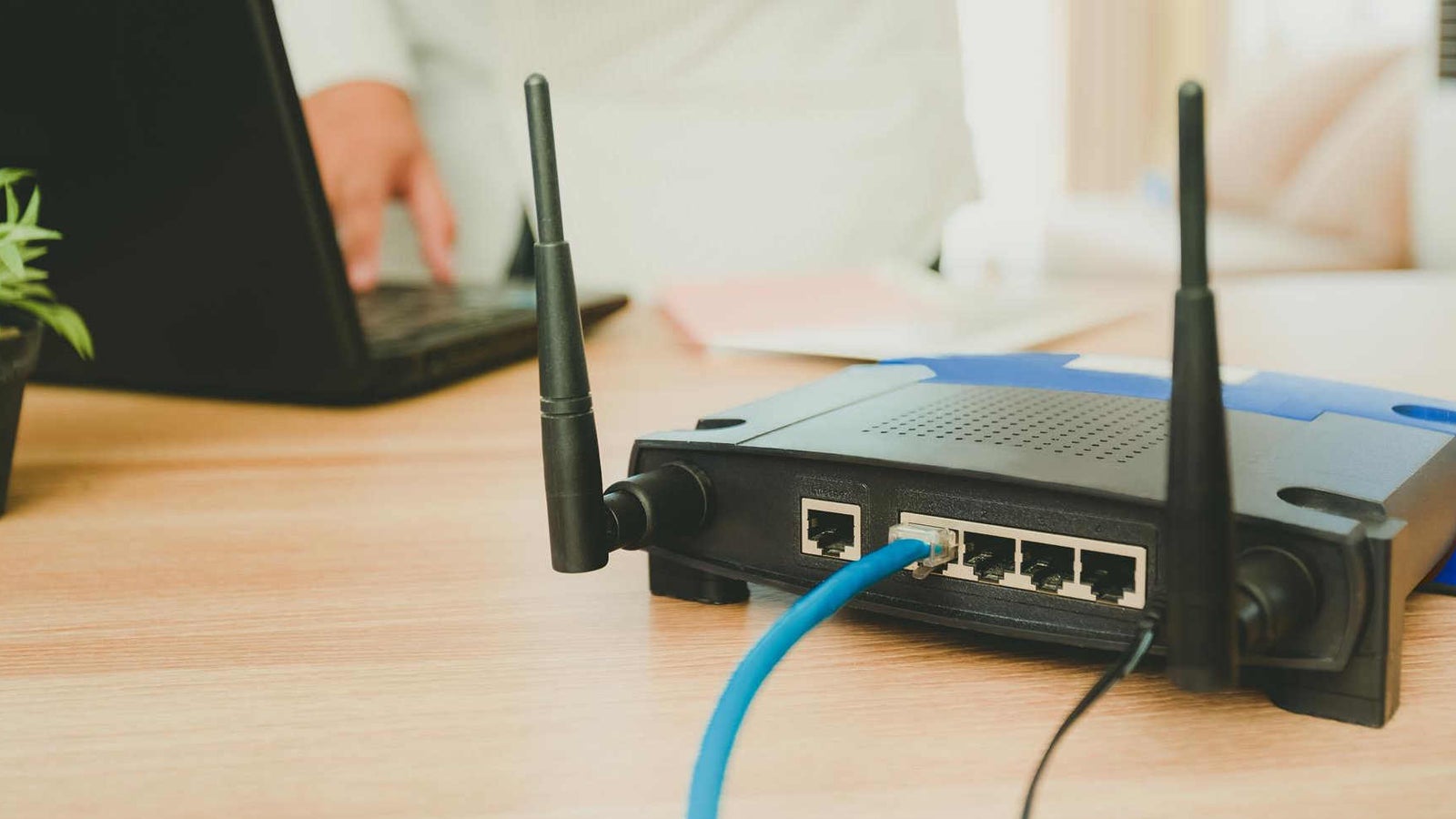 Schnelles Festnetz-Internet immer beliebter - oe24.at