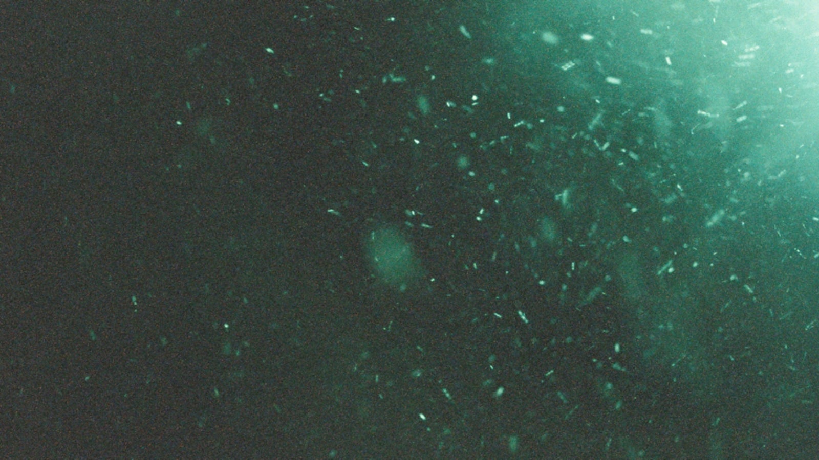 So erkennen Sie eine Hausstaub-Allergie - gesund24.at