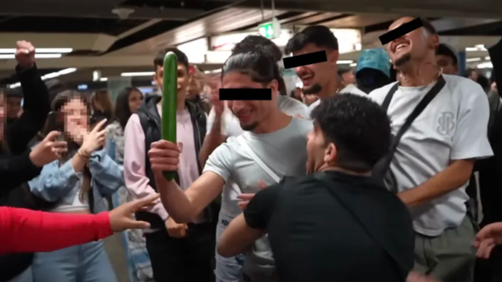 TikTok-Trend junger Migranten: Das ist so widerlich - oe24.at