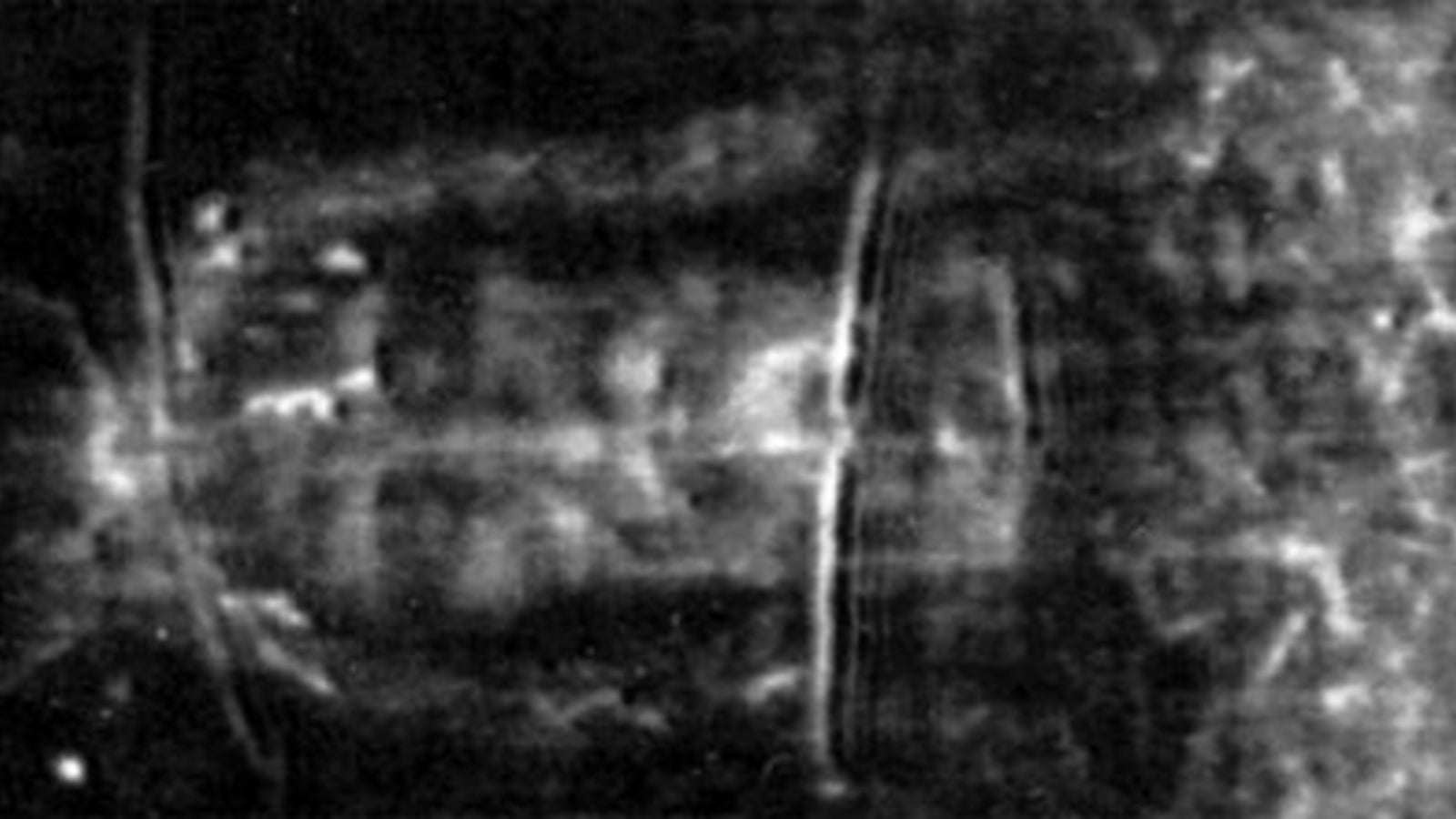 3D-Bild von Jesus rekonstruiert - oe24.at