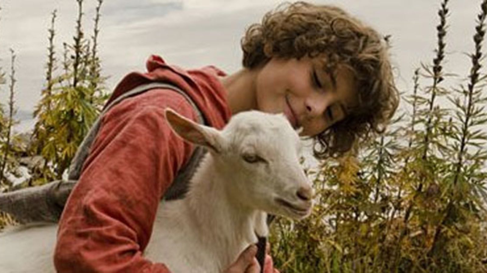 Schellen-Ursli: Film wie aus Bilderbuch - stars24