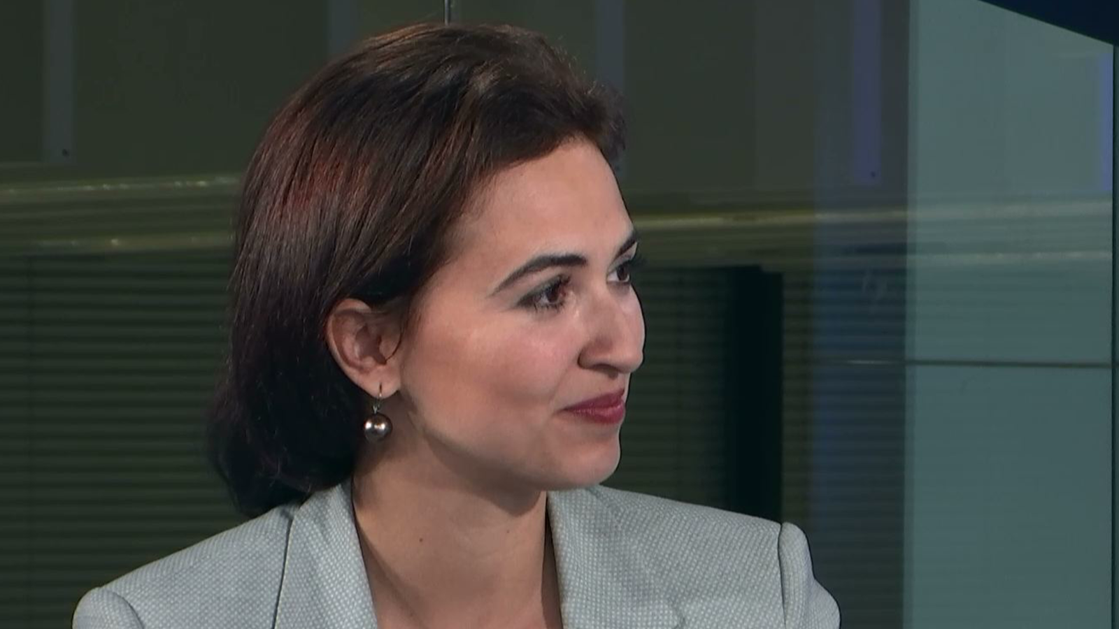 Talk mit Alma Zadic von der Liste Pilz - oe24.tv