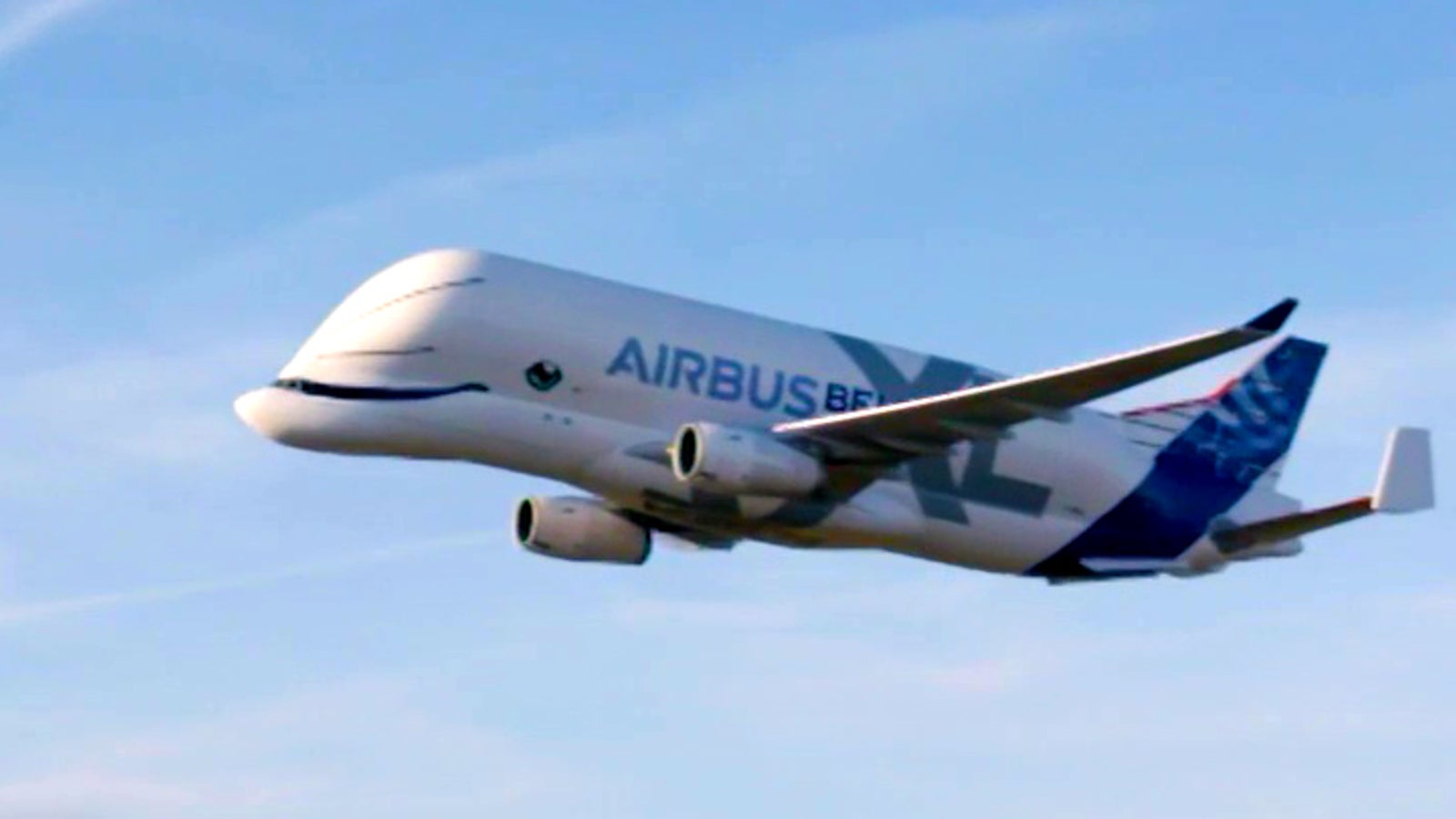 Fliegender Wal: Airbus Beluga XL startet in die Luft - oe24.tv