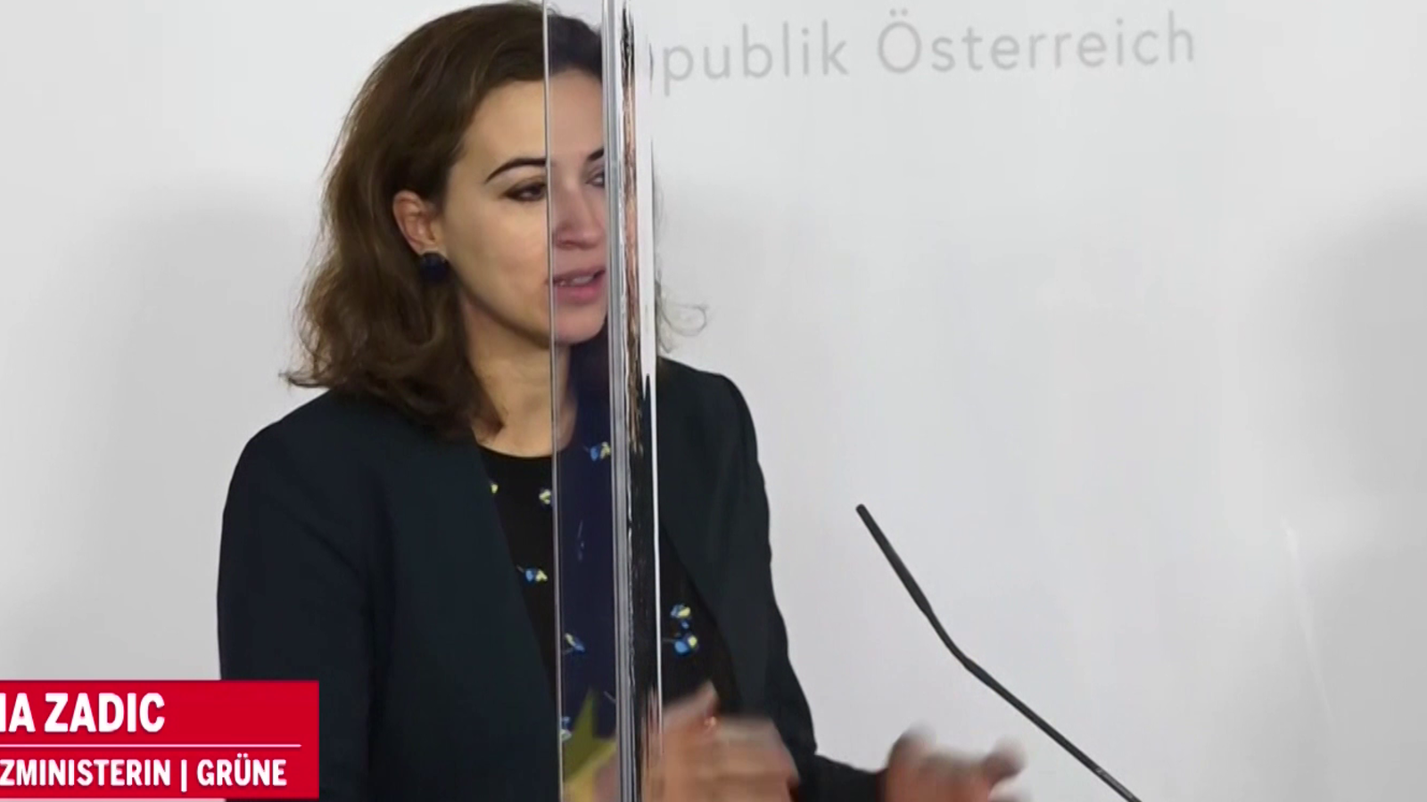 Statement von Alma Zadic - oe24.tv