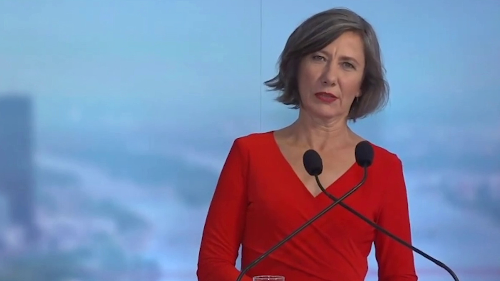 Birgit Hebein bei Landesversammlung der Wiener Grünen - oe24.tv