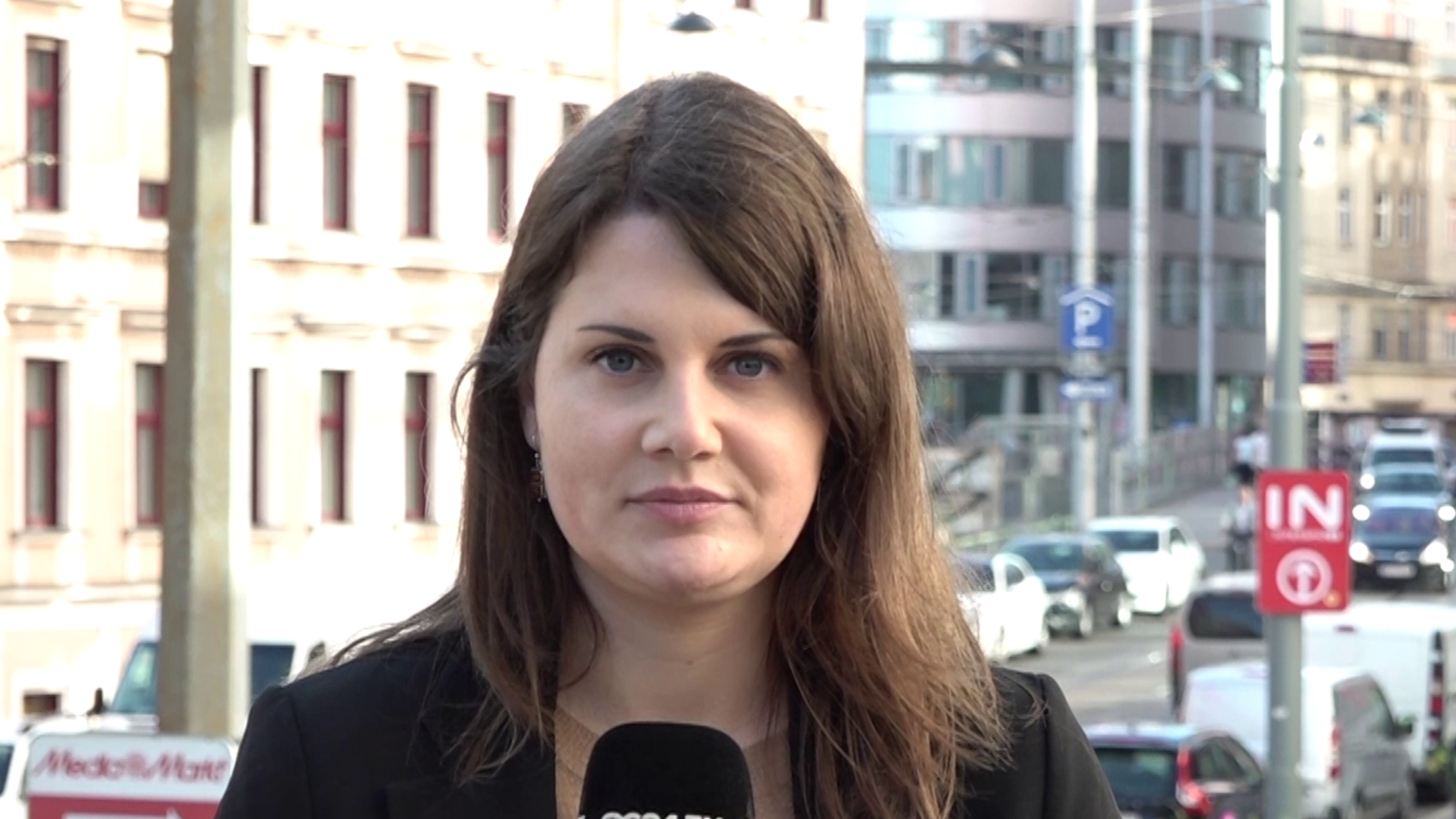 Massenschlägerei bei U-Bahn-Kontrolle in Wien - oe24.tv