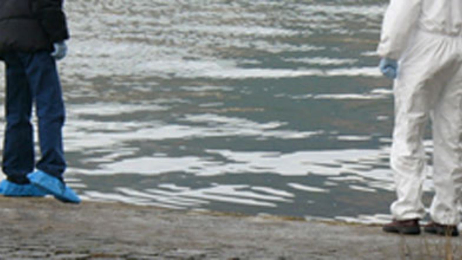 Wasserleiche in See entdeckt - oe24.at